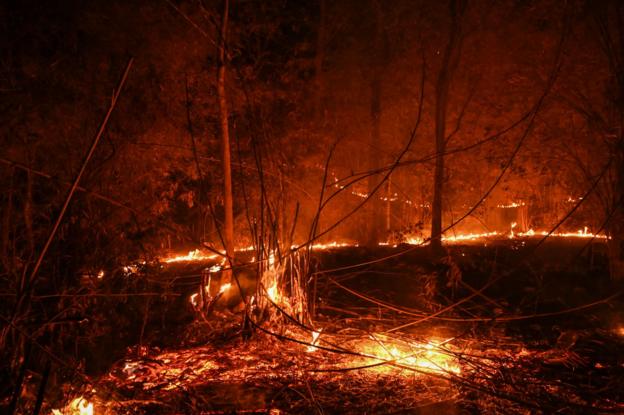 PM2.5: คนไทยป่วยจาก “มลพิษทางอากาศ” กว่า 10 ล้านคน ในปี 2566 - BBC News ไทย