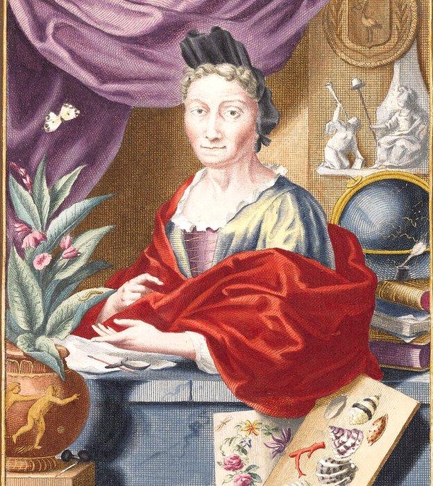 Maria Merian, la alemana que descubrió la metamorfosis cuando tenía 13 ...