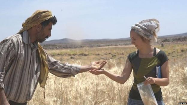 El sorprendente hallazgo del pan más antiguo del mundo (y por qué ...