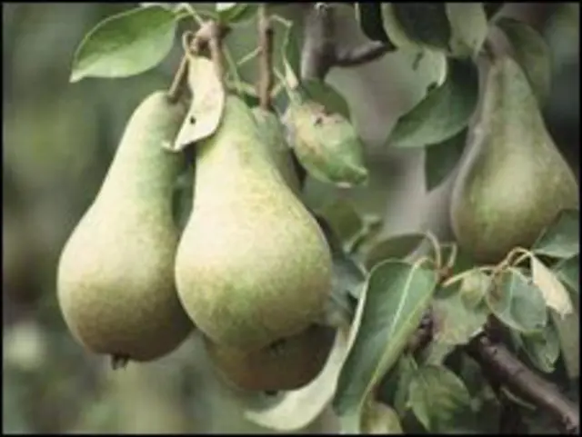 formally or formerly