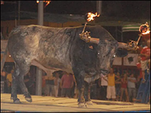 El toro y España, ¿indivisibles? - BBC News Mundo