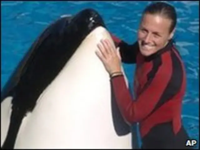 Baleia do Sea World matou treinadora agarrando-a pelos cabelos, diz polícia - BBC News Brasil