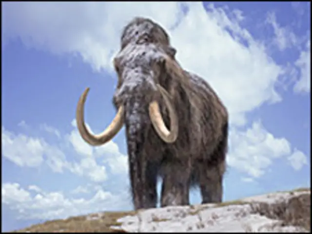 Descartan teoría sobre extinción del mamut - BBC News Mundo