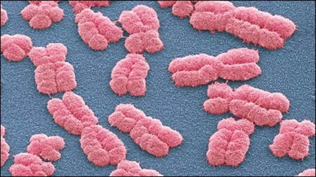 La década del genoma humano - BBC News Mundo