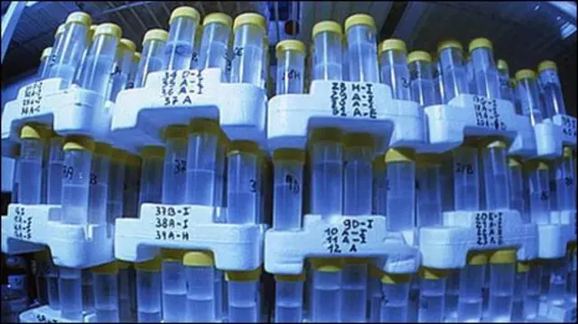 La década del genoma humano - BBC News Mundo