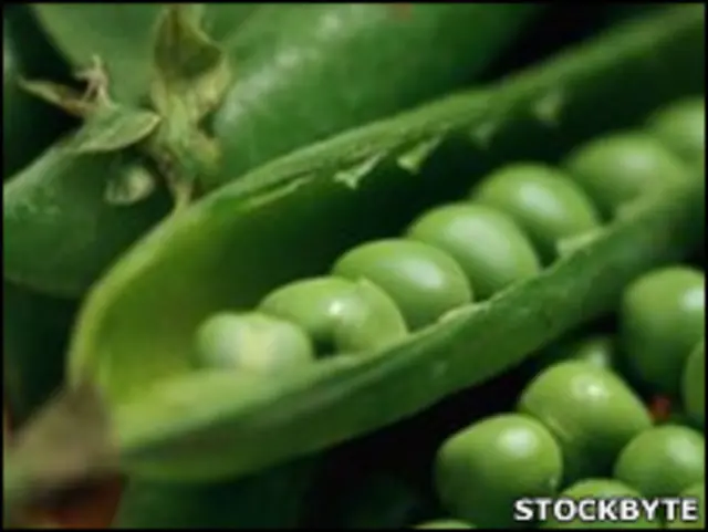 El hombre al que le crecieron arvejas en el pulmón - BBC News Mundo