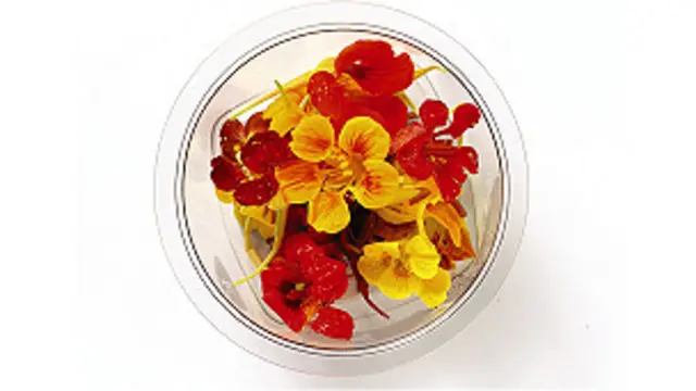 Flores Que Podemos Comer 8 Flores Que Podemos Cosechar En La Huerta