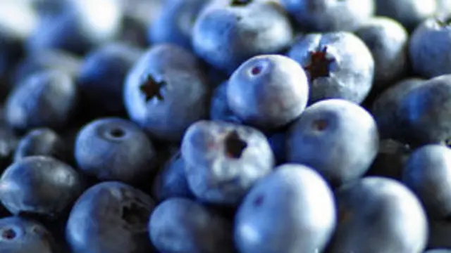 El arándano azul latinoamericano, la "suprema superfruta" - BBC News Mundo