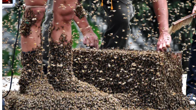 Vistiéndose de abejas - BBC News Mundo