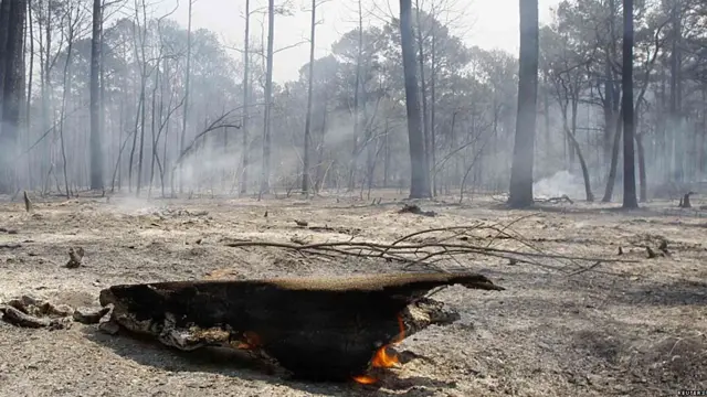 El indomable incendio que arrasa con Texas - BBC News Mundo