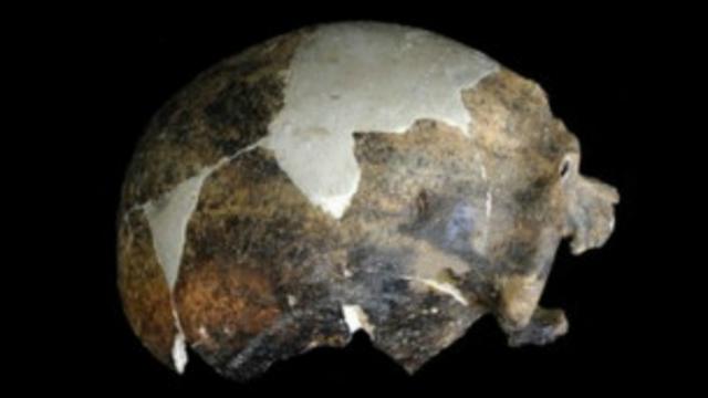 La evidencia más temprana de la violencia entre seres humanos - BBC ...