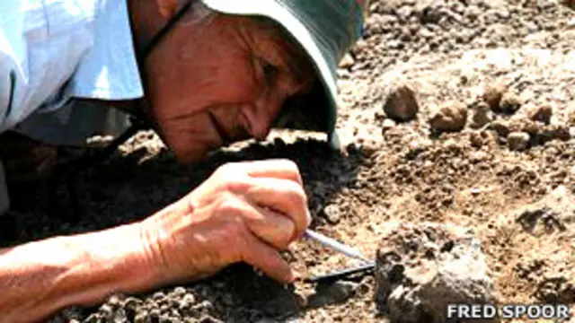 Descubren una nueva especie humana en África - BBC News Mundo