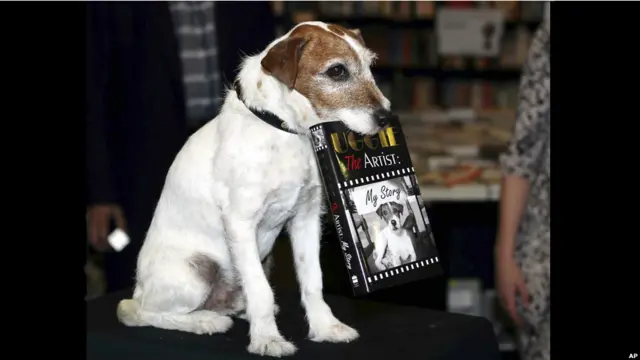 Yoko no fue, el perrito Uggie "escribe" su biografía y otras noticias ...