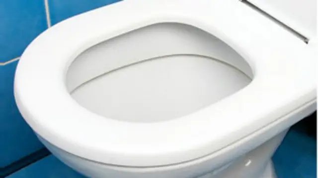 El inodoro inteligente que sólo tendrás que limpiar una vez al año ...