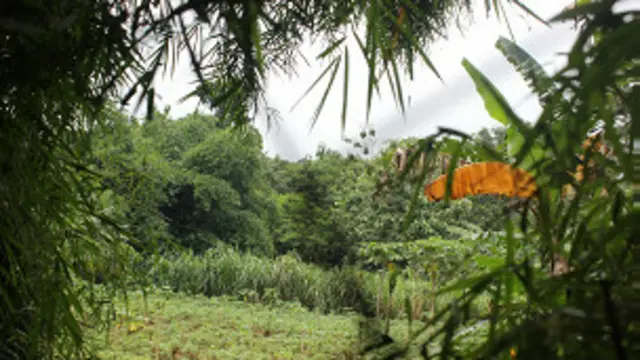 Bang Idin, pendekar Sungai Pesanggrahan - BBC News Indonesia