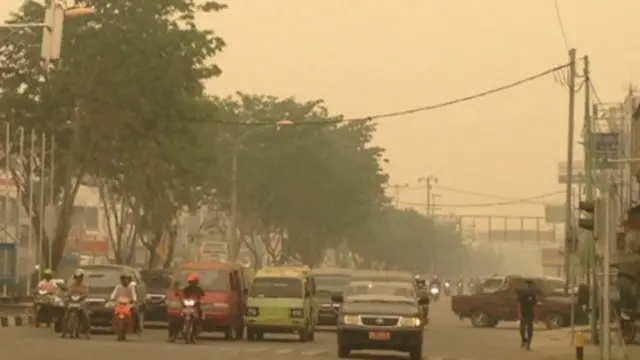 Hutan Riau kembali terbakar, siaga darurat diterapkan - BBC News Indonesia