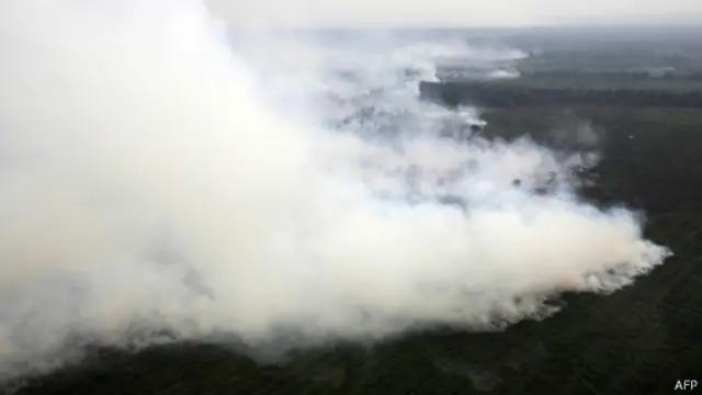 Hutan Riau kembali terbakar, siaga darurat diterapkan - BBC News Indonesia