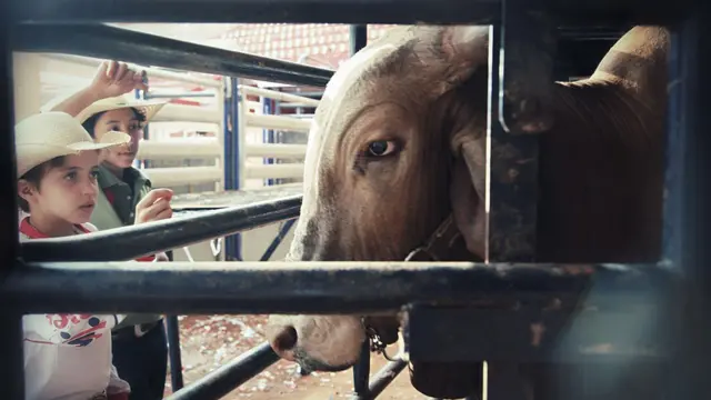 En fotos: Brasil se viste de cowboy - BBC News Mundo