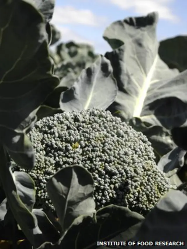 Los superalimentos en el banquillo - BBC News Mundo