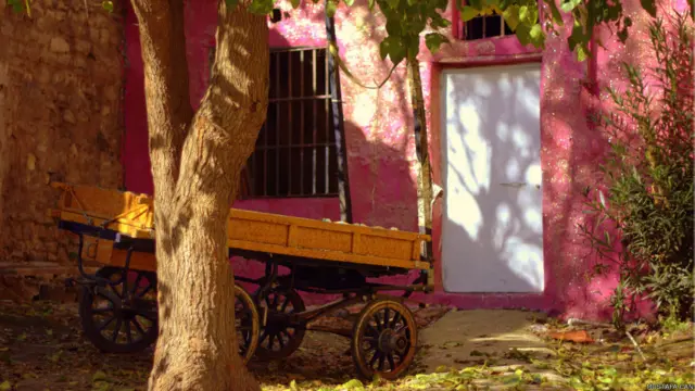 Fotoğraflarla: Kapılar - BBC News Türkçe