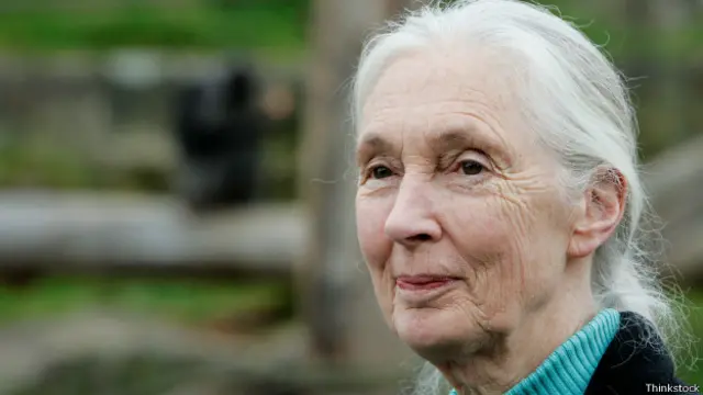 Jane Goodall, la mujer que redefinió lo que nos hace humanos - BBC News ...