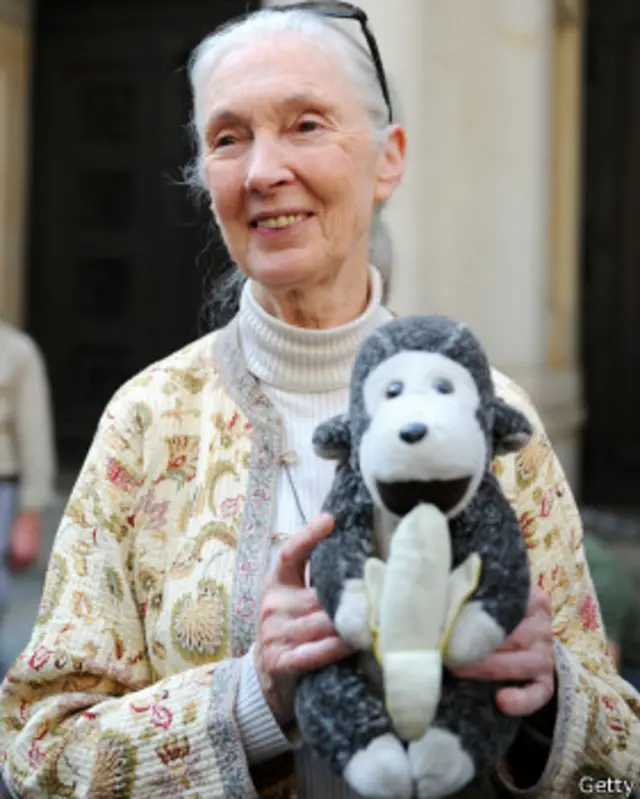 Jane Goodall, la mujer que redefinió lo que nos hace humanos - BBC News ...