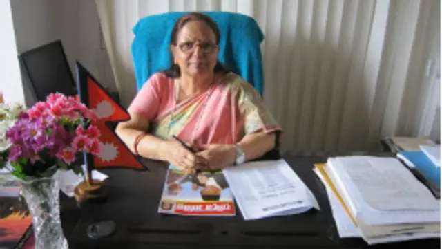 उर्जासम्बन्धी विवाद संसदीय समितिमा - BBC News नेपाली