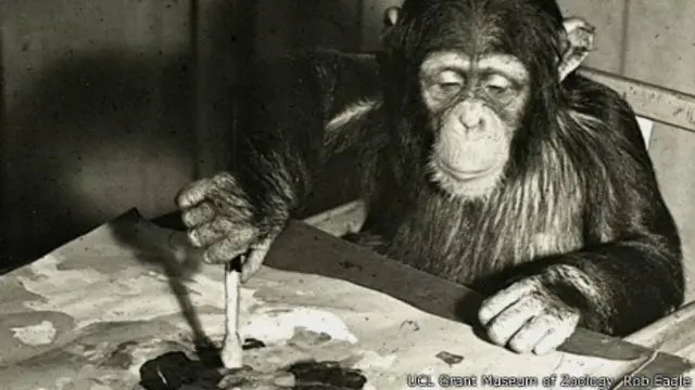 Cuando los animales crean arte - BBC News Mundo