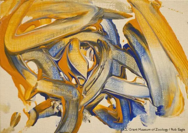 Cuando los animales crean arte - BBC News Mundo