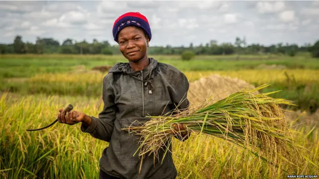 Fotógrafo feminista retrata cotidiano de mulheres africanas - BBC News ...
