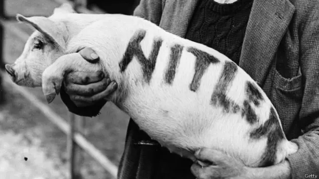 ¿Qué comían los tiranos? - BBC News Mundo