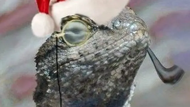 ¿Qué es Lizard Squad, el grupo que dice estar detrás del hackeo a ...