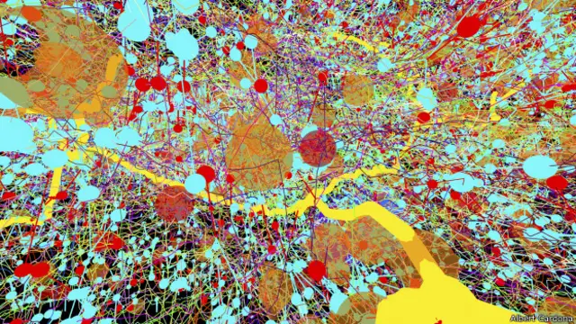 El fascinante detalle de las mejores fotos científicas - BBC News Mundo