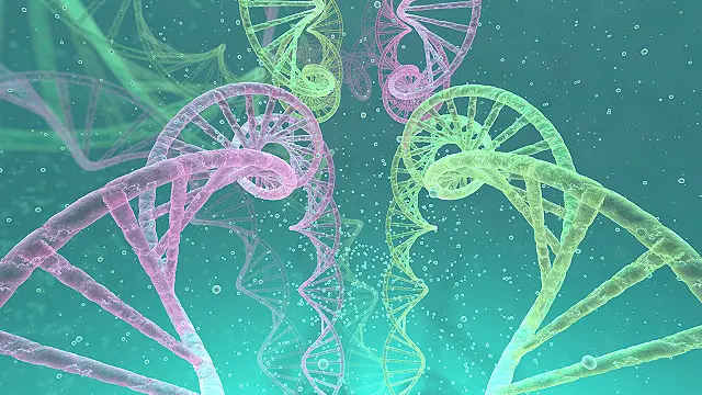 Temuan DNA purba di Afrika ungkap sejarah migrasi nenek moyang manusia ...