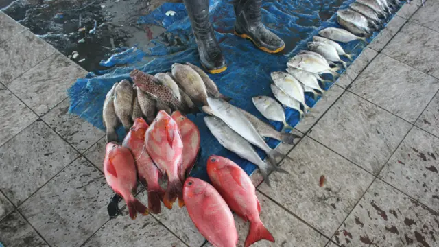 Berkunjung ke pelelangan ikan di Paotere, Makassar - BBC News Indonesia