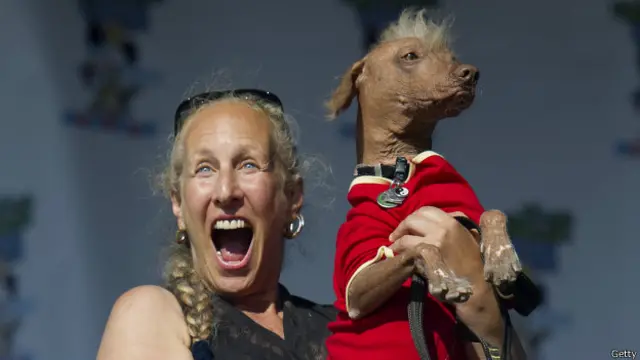 Conoce a los perros "más feos del mundo" - BBC News Mundo