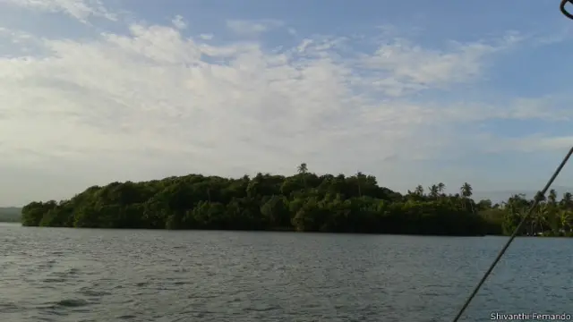 මඩොල් දූවේ කසල: 'කලින් ඉවත් කළා' - BBC News සිංහල