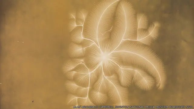 Revelaciones: experimentos alucinantes en fotografía - BBC News Mundo