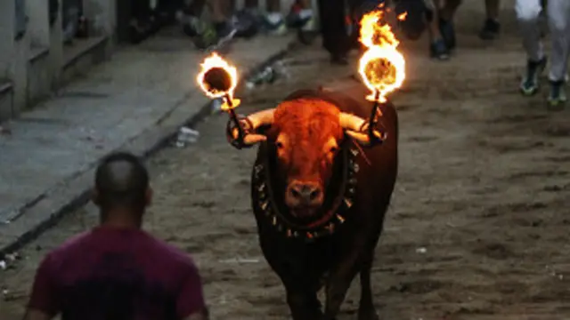 España: siete muertos por cornadas de toro en dos meses - BBC News Mundo