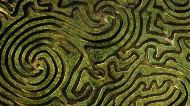 ¿Qué hay dentro del cerebro de un creador de laberintos? - BBC News Mundo
