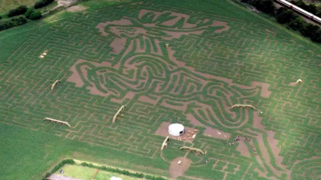 ¿Qué hay dentro del cerebro de un creador de laberintos? - BBC News Mundo