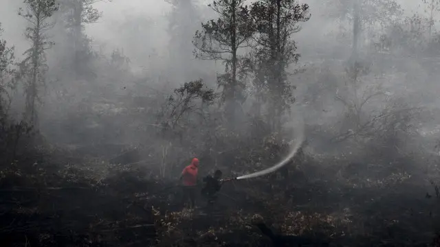 Hutan Riau kembali terbakar, siaga darurat diterapkan - BBC News Indonesia