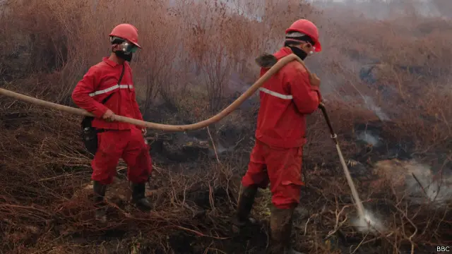Hutan Riau kembali terbakar, siaga darurat diterapkan - BBC News Indonesia