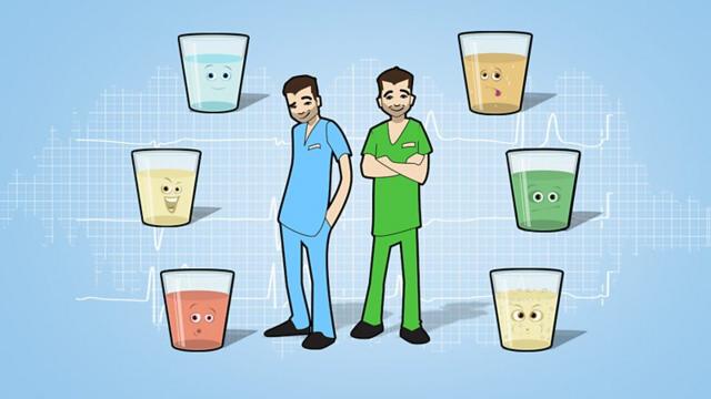 Los secretos de tu orina - BBC News Mundo