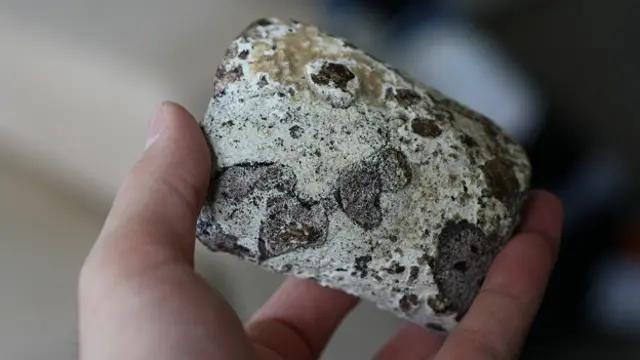 ¿Por qué la caca de cachalote se cotiza en miles de dólares? - BBC News ...