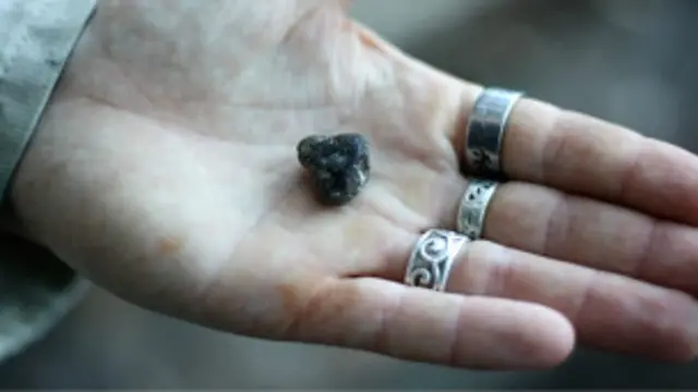 ¿Por qué la caca de cachalote se cotiza en miles de dólares? - BBC News ...