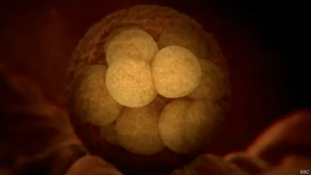 9 cosas que te hicieron tú antes de nacer - BBC News Mundo