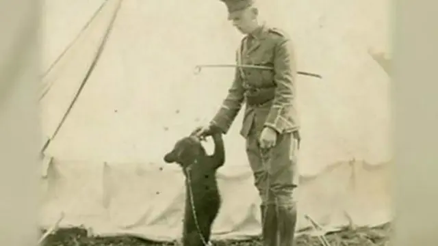 La verdadera historia de la osa que inspiró Winnie the Pooh - BBC News ...