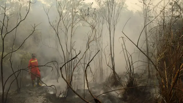 Lima pejabat perusahaan di Riau jadi tersangka pembakar hutan - BBC News Indonesia