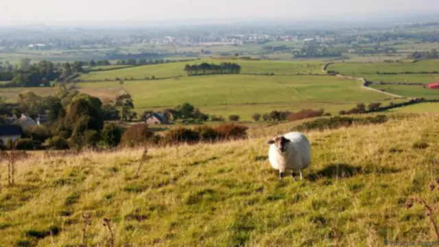 圖輯：尋訪愛爾蘭最古老的秘密 - BBC 英伦网
